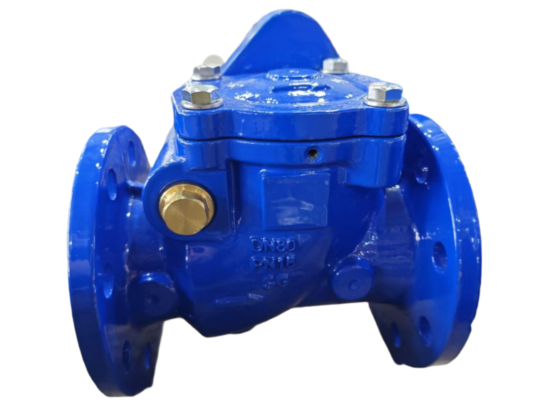 Swing Check Valve | Duvalco Valves & Fittings Pte Ltd